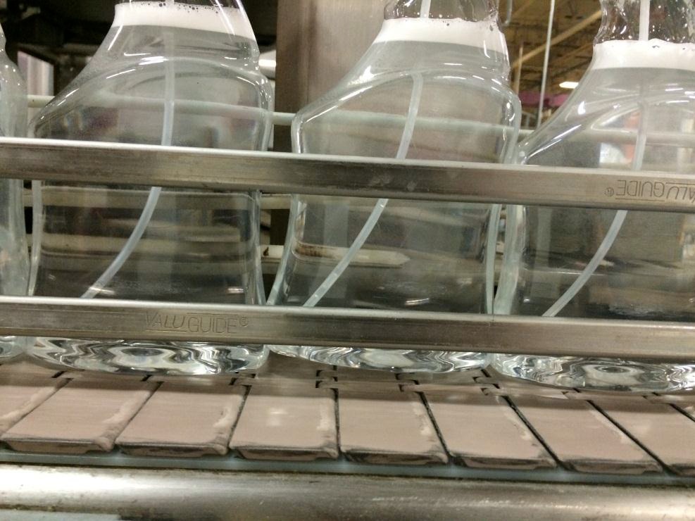 Lysol Daily Cleanser Bottle – Geoff Woo